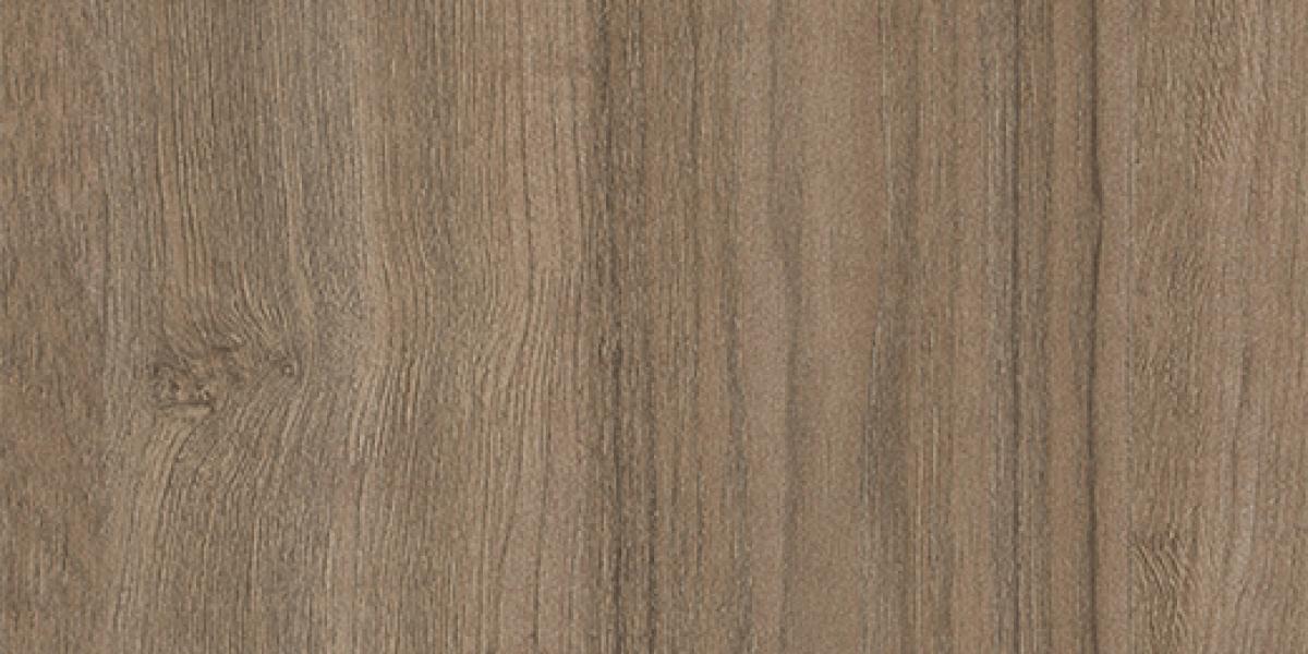 Truffle Brown Borneo | Kattan Group